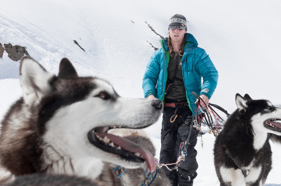 Husky - Harald Tauderer Photography